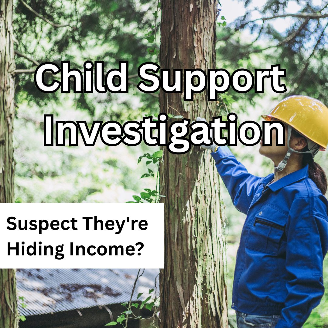 Child Support Investigations - Lance Casey & Associates